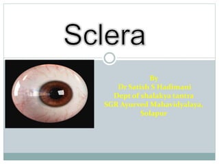Anatomy of Sclera | PPTX