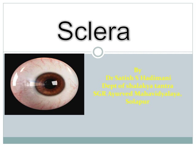 Anatomy of Sclera | PPTX