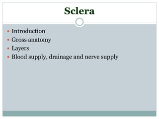 Anatomy of Sclera | PPTX