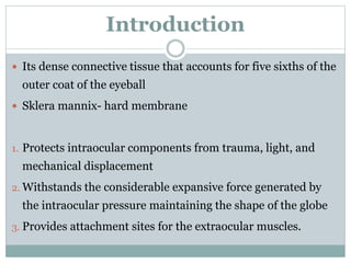 Anatomy of Sclera | PPTX