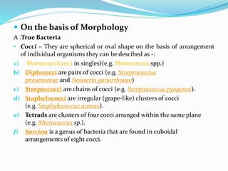 Medical Microbiology Laboratory | PPTX