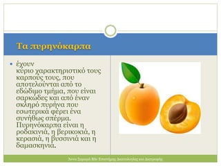 Ομάδα φρούτων και λαχανικών | PPTX