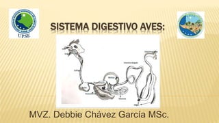 Sistema digestivos de las aves | PPTX