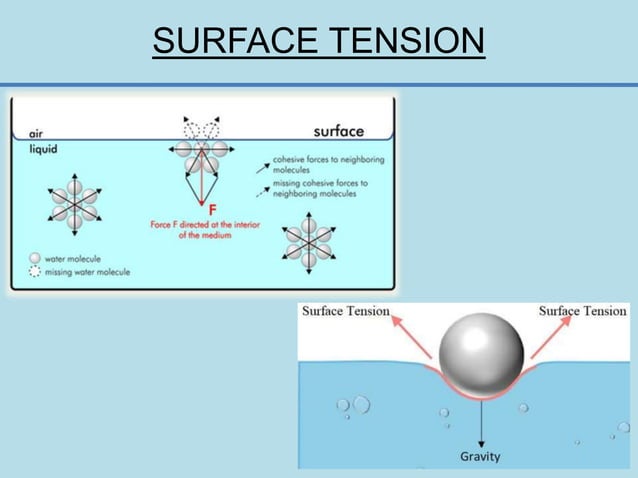Surface Tension | PPTX | Chemistry | Science