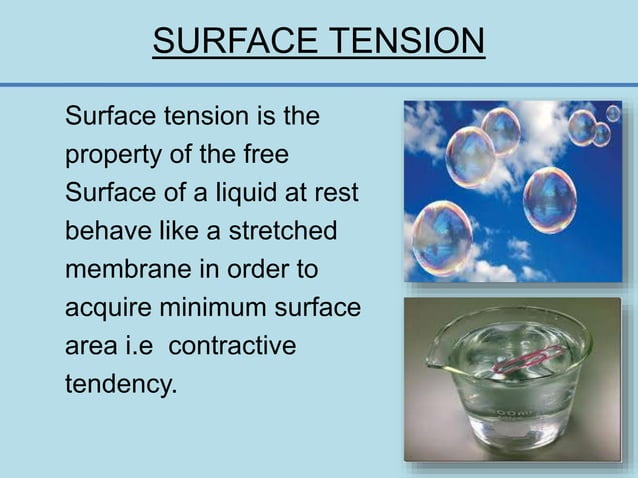 Surface Tension | PPTX | Chemistry | Science