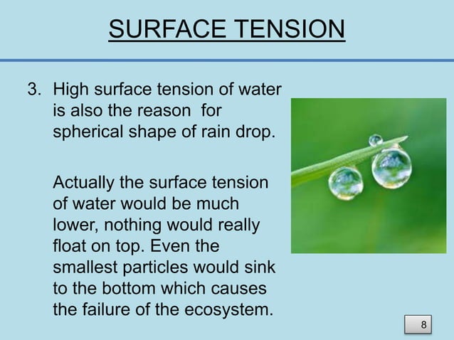 Surface Tension | PPTX | Chemistry | Science