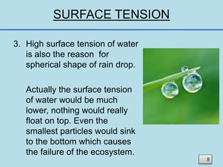 What Causes Surface Tension In Water