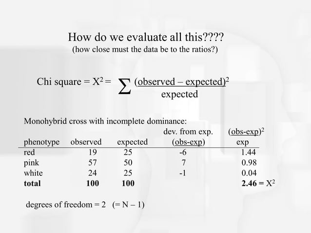 chi square statistics | PPT