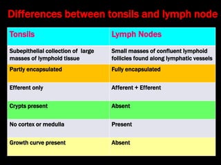 3.tonsils and adenoids | PPT