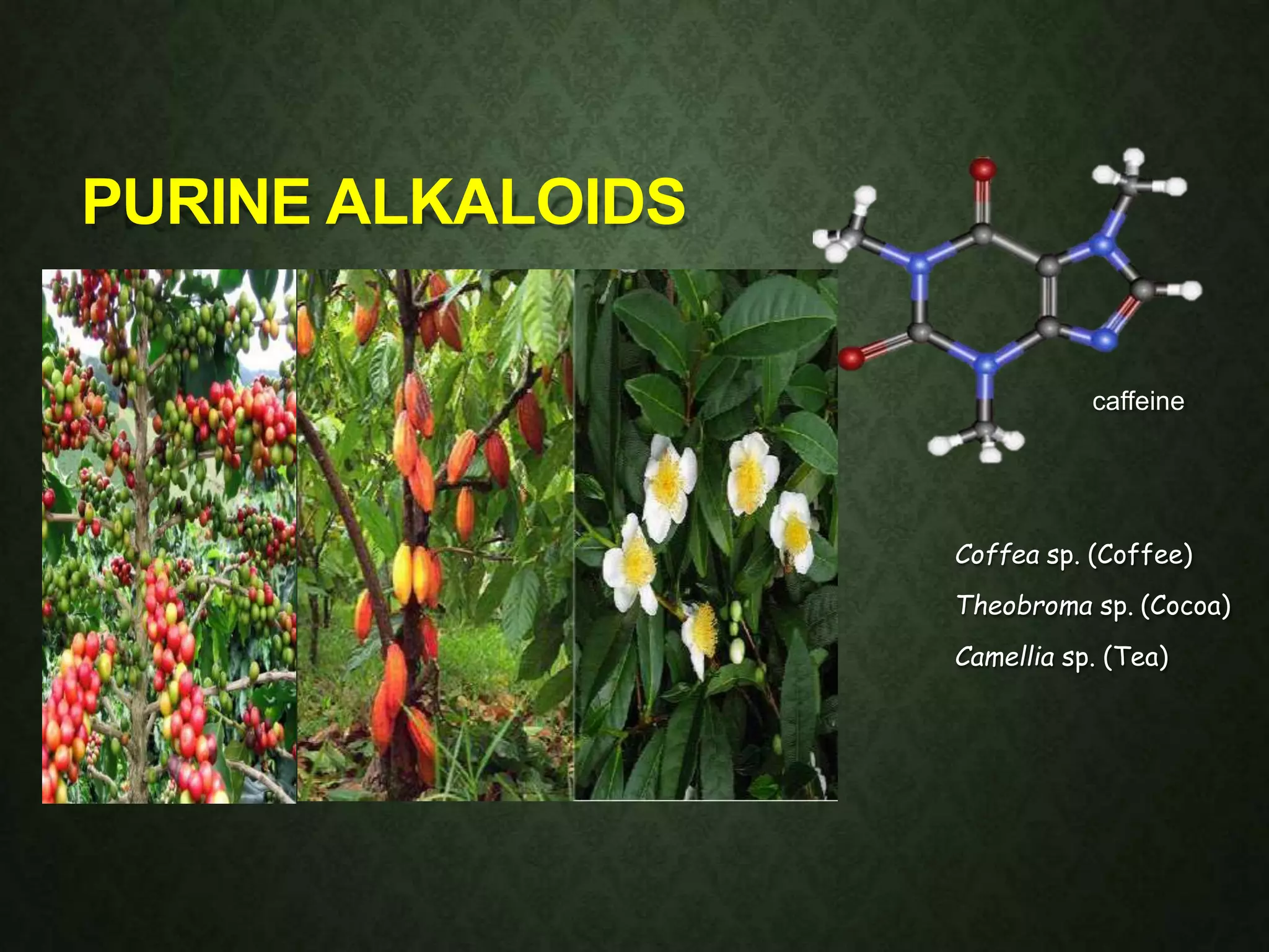 Toxic_Plants_and_Toxicological_Risk_of_Plant_Dugs | PPTX