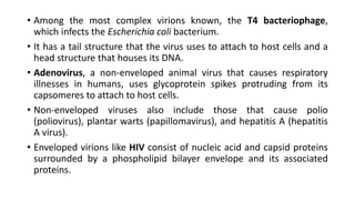 3. structure of viruses | PPTX