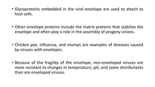 3. structure of viruses | PPTX | Biological Sciences | Science