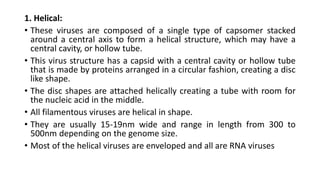 3. structure of viruses | PPTX