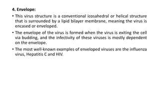 3. structure of viruses | PPTX | Biological Sciences | Science