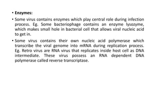 3. structure of viruses | PPTX