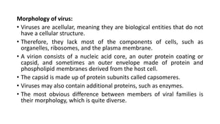 3. structure of viruses | PPTX