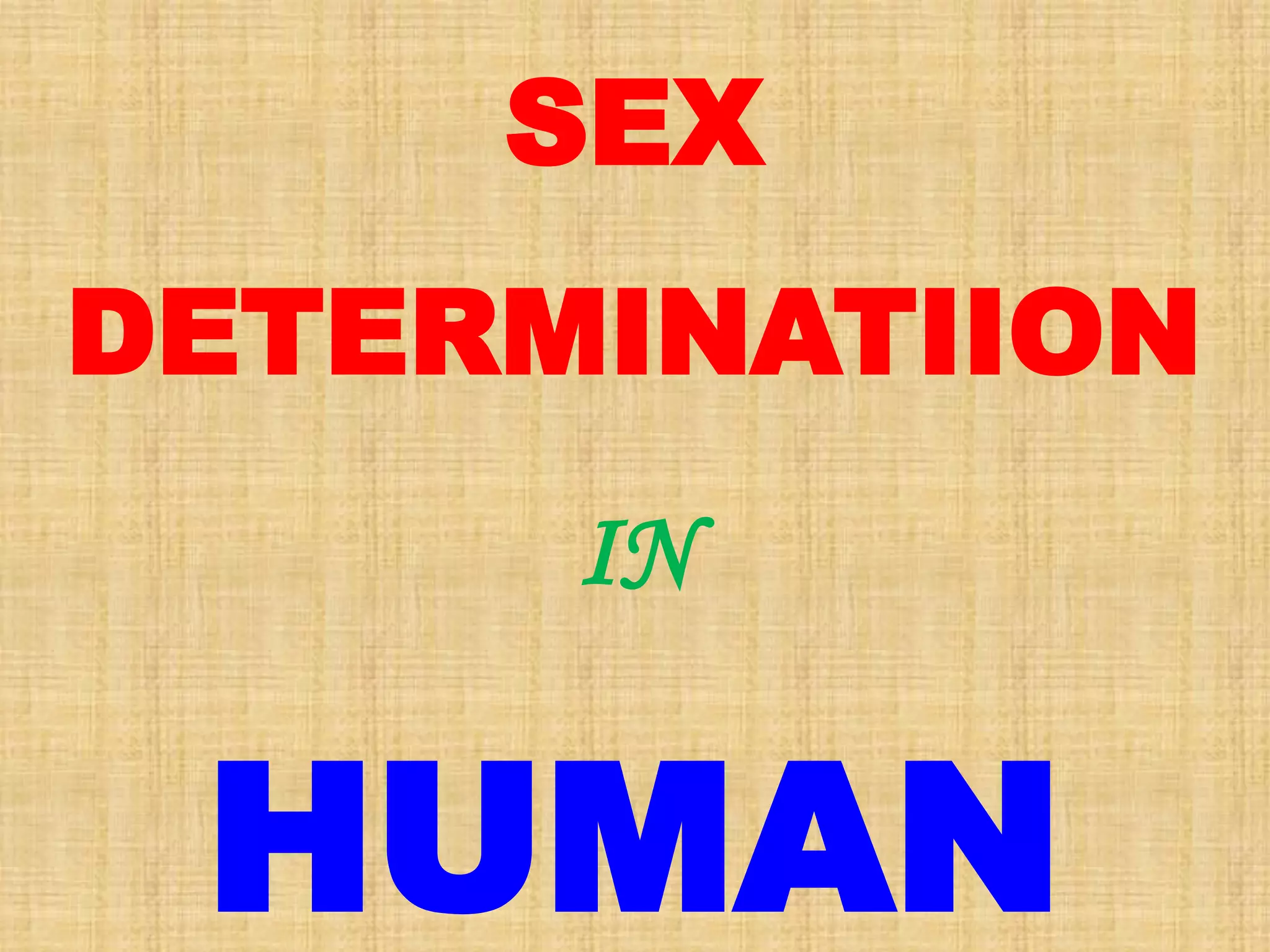 Sex Determination In Humans Pdf