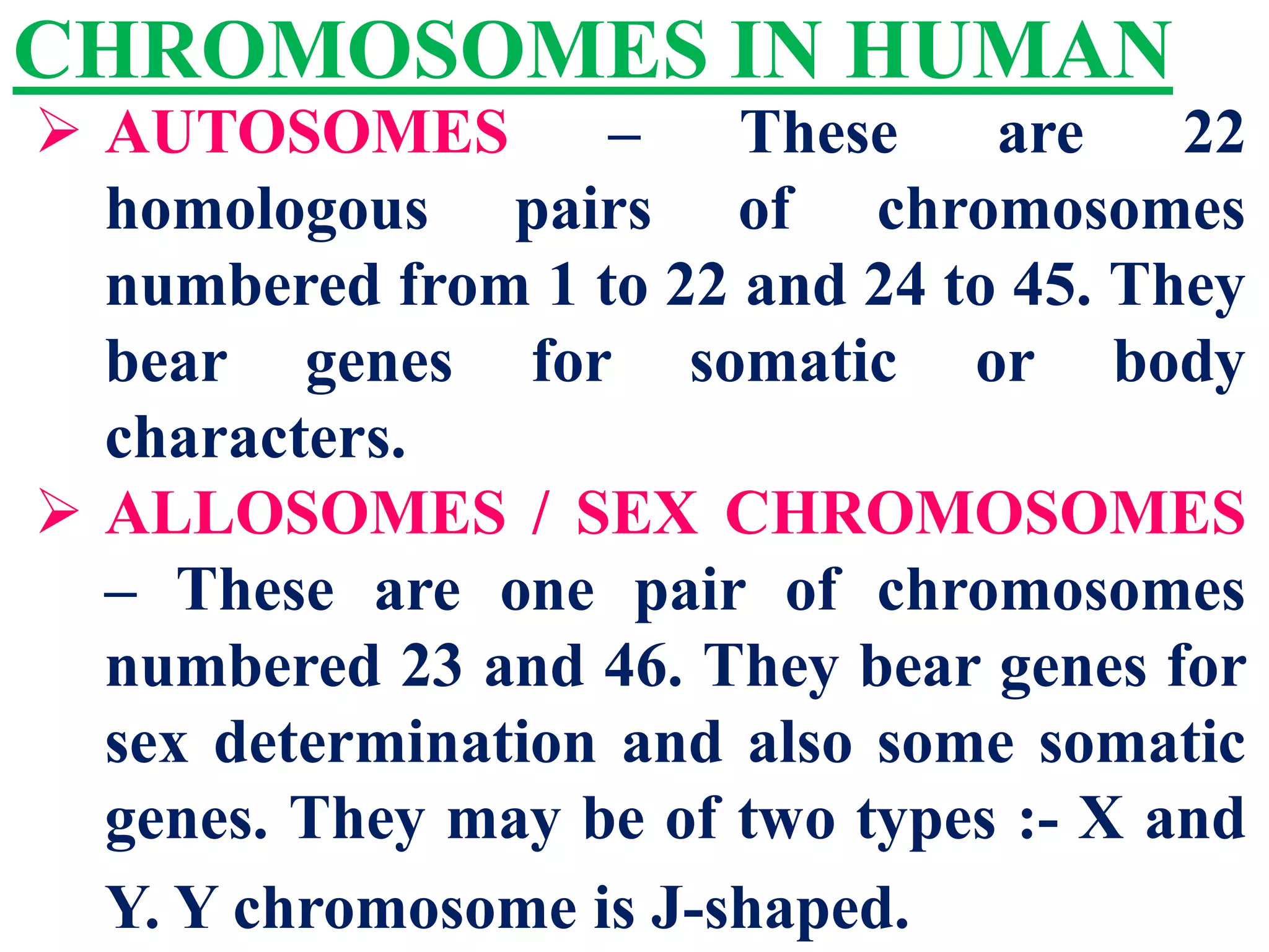 Sex Determination in Humans | PDF