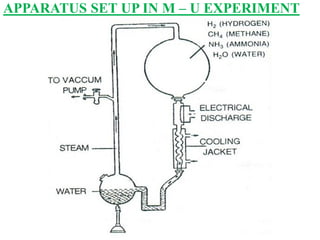Miller Urey Experiment | PDF