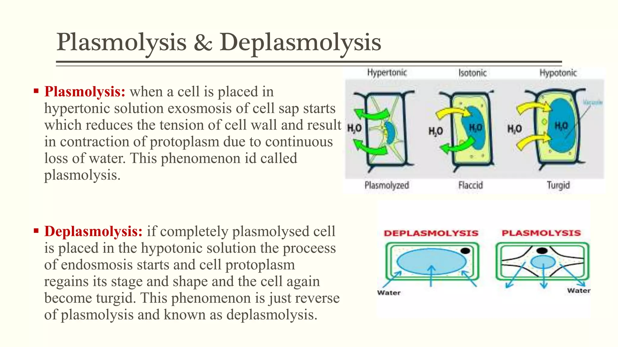 DPD, Water potential, Plasmolyses & Imbibition | PPTX