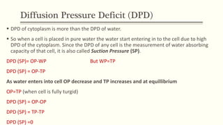 DPD, Water potential, Plasmolyses & Imbibition | PPTX