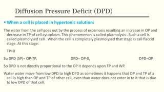 DPD, Water potential, Plasmolyses & Imbibition | PPTX