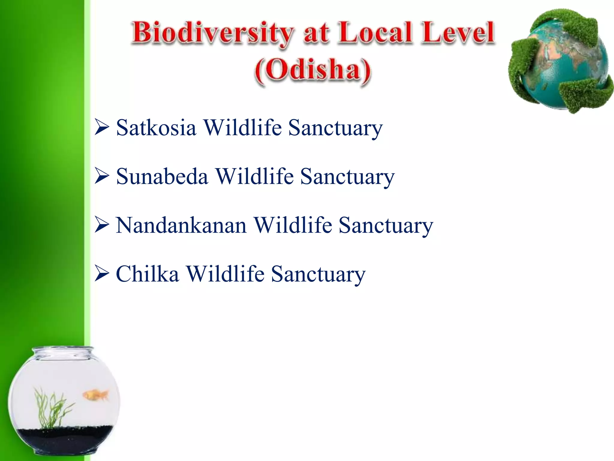 Biodiversity at global, national & local level and Types of Species | PPTX