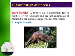 Biodiversity at global, national & local level and Types of Species | PPTX