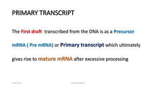 Primary Transcript | PPTX