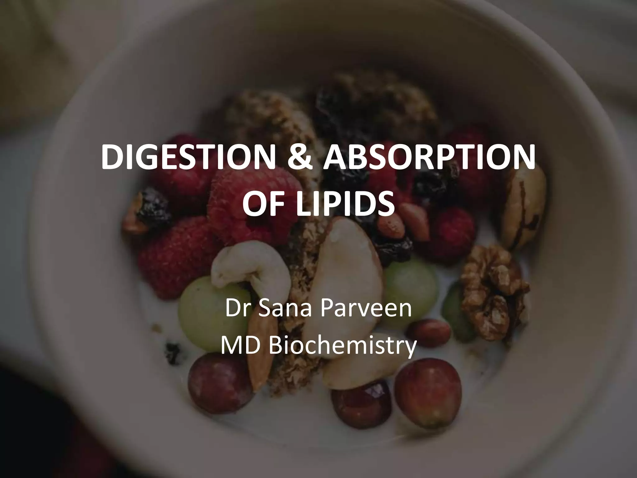 LIPID DIGESTION & ABSORPTION | PPTX