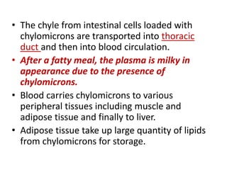 LIPID DIGESTION & ABSORPTION | PPTX