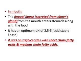 LIPID DIGESTION & ABSORPTION | PPTX