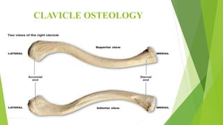 Clavicle fracture and its management | PPTX