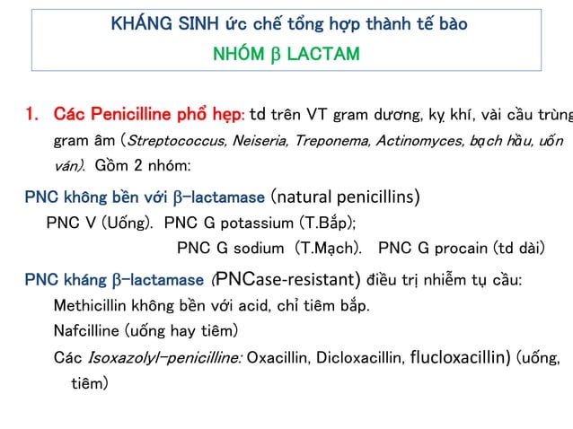 Khái niệm cơ bản về kháng sinh - 2019 - Đại học Y dược TPHCM | PPTX