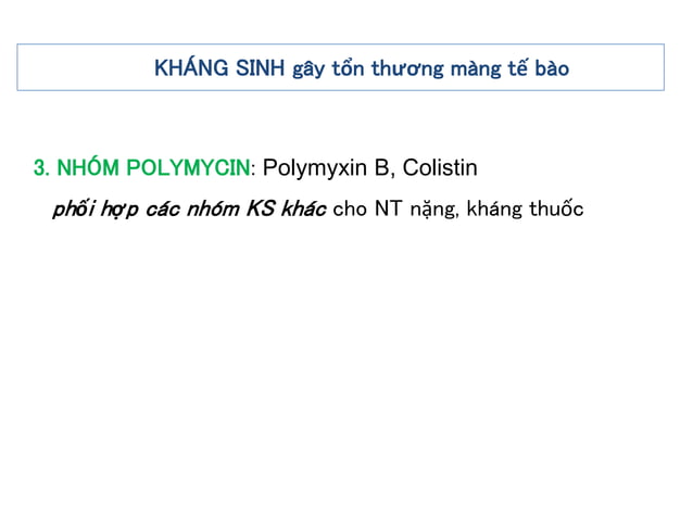 Khái niệm cơ bản về kháng sinh - 2019 - Đại học Y dược TPHCM | PPTX
