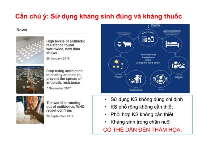 Khái niệm cơ bản về kháng sinh - 2019 - Đại học Y dược TPHCM | PPTX
