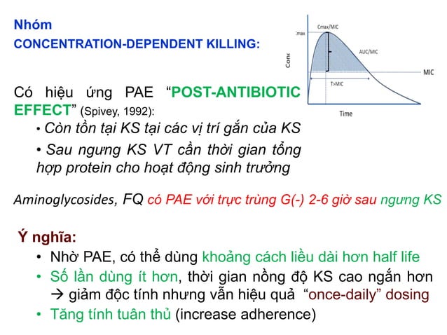 Khái niệm cơ bản về kháng sinh - 2019 - Đại học Y dược TPHCM | PPTX