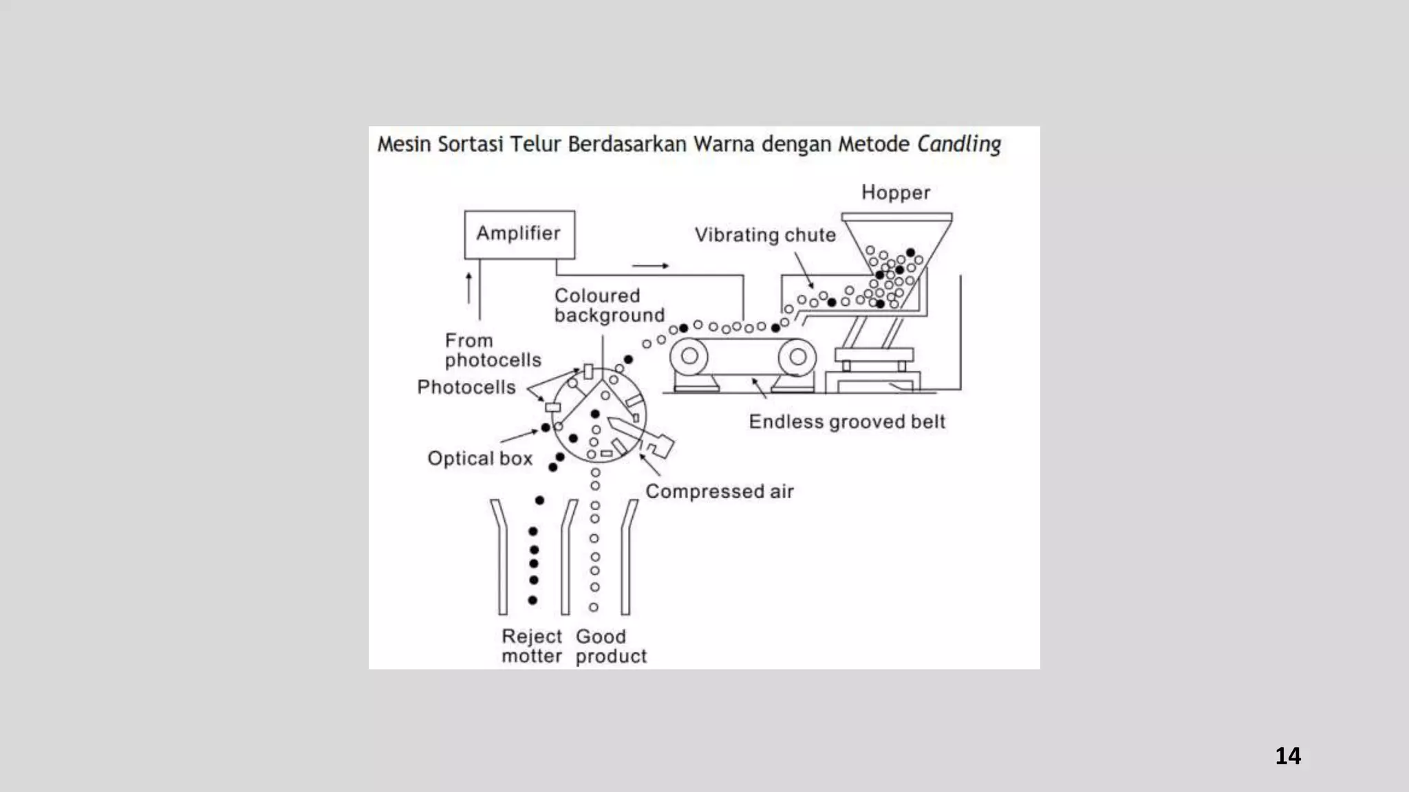 3. sortasi dan pengkelasan mutu | PPTX