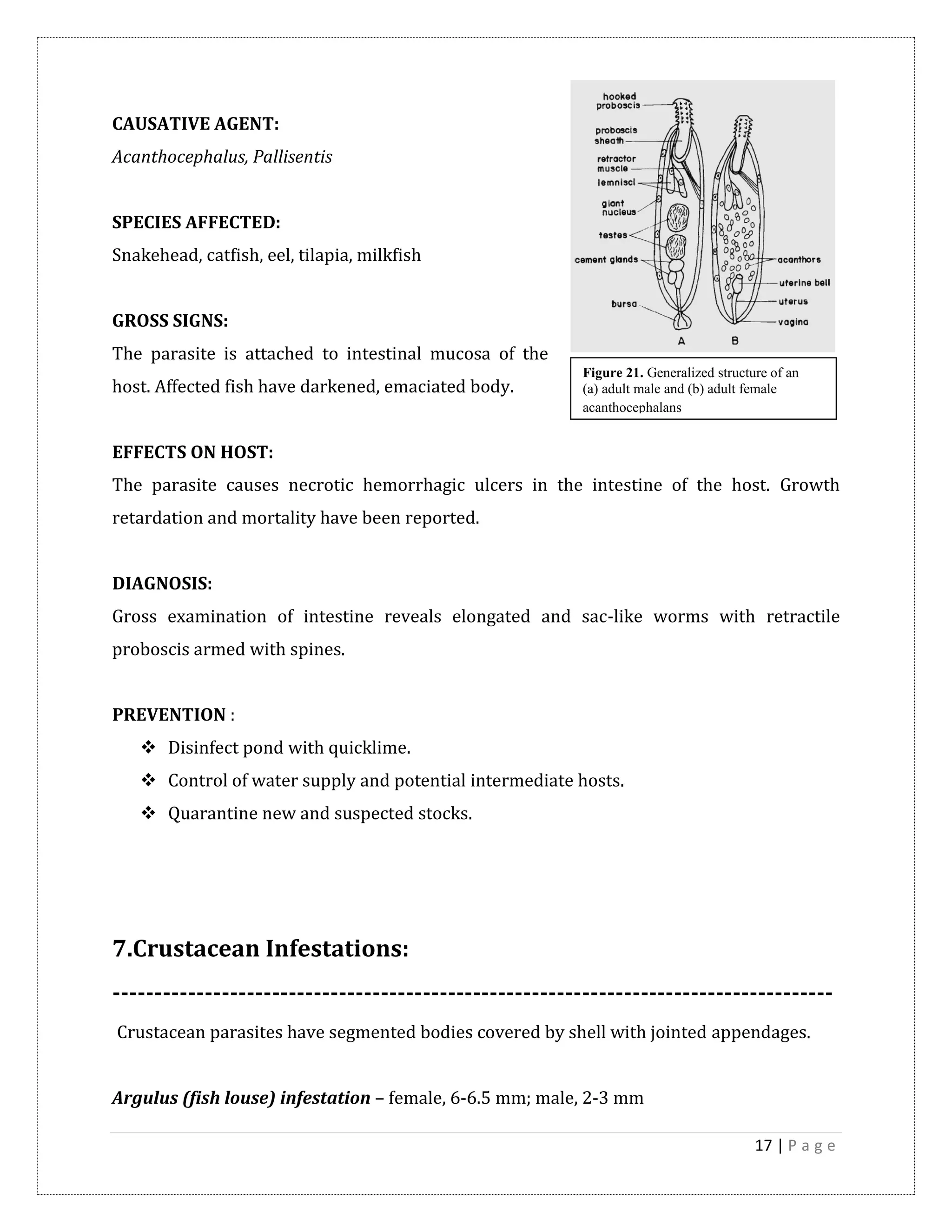 Prevention of fish parasitic disease _Syekat | PDF