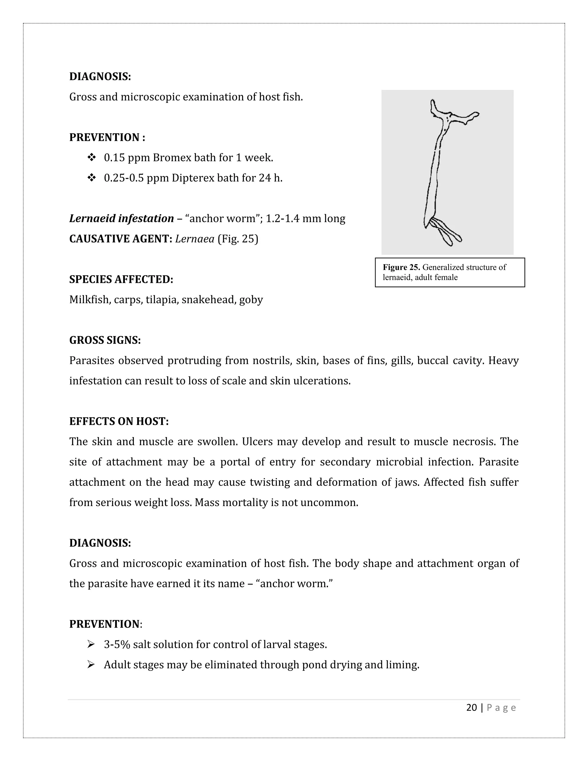 Prevention of fish parasitic disease _Syekat | PDF