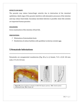 Prevention of fish parasitic disease _Syekat | PDF | Veterinary ...