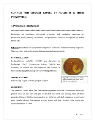 Prevention of fish parasitic disease _Syekat | PDF