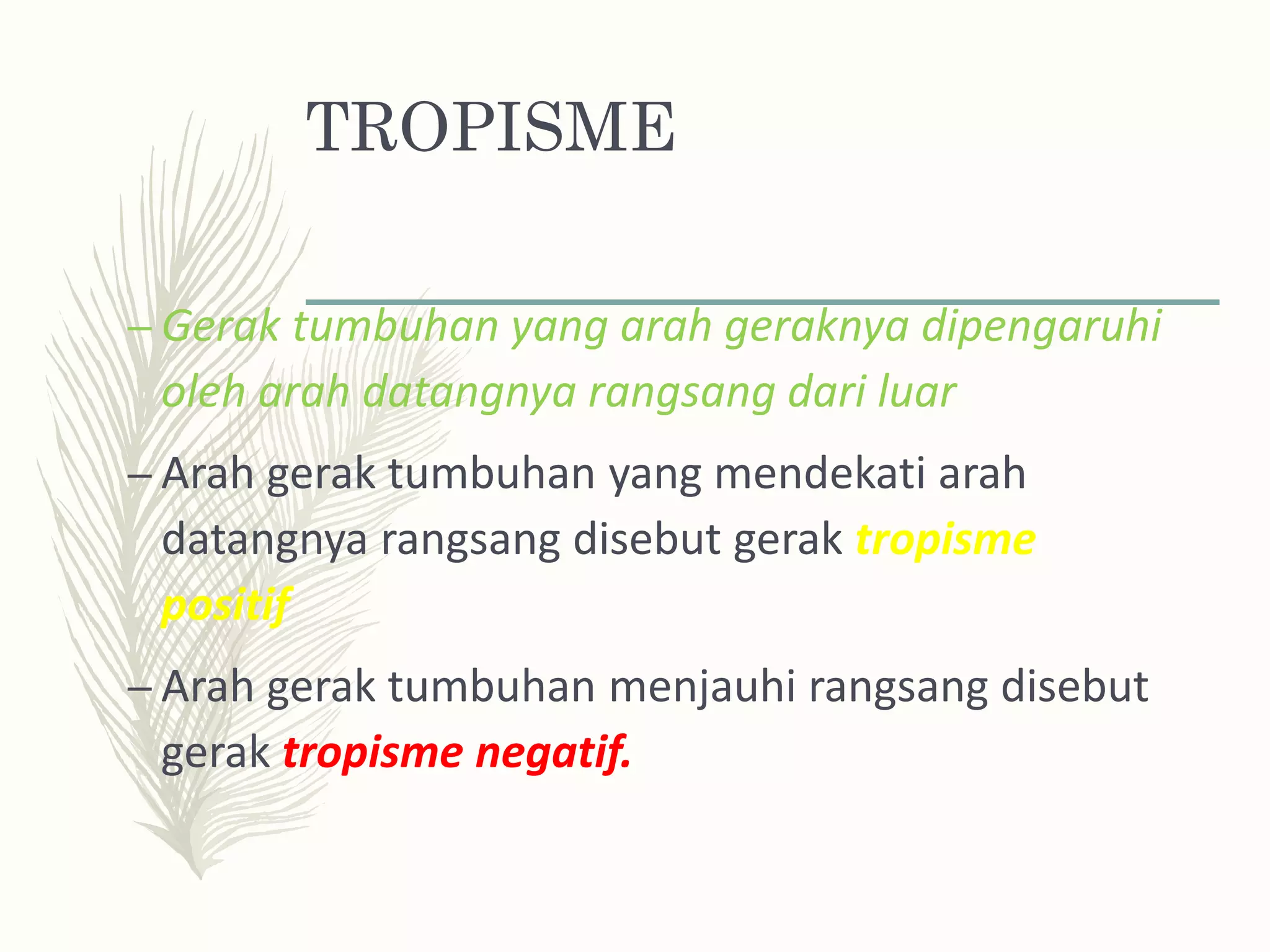 Sistem Gerak Tumbuhan | PPT