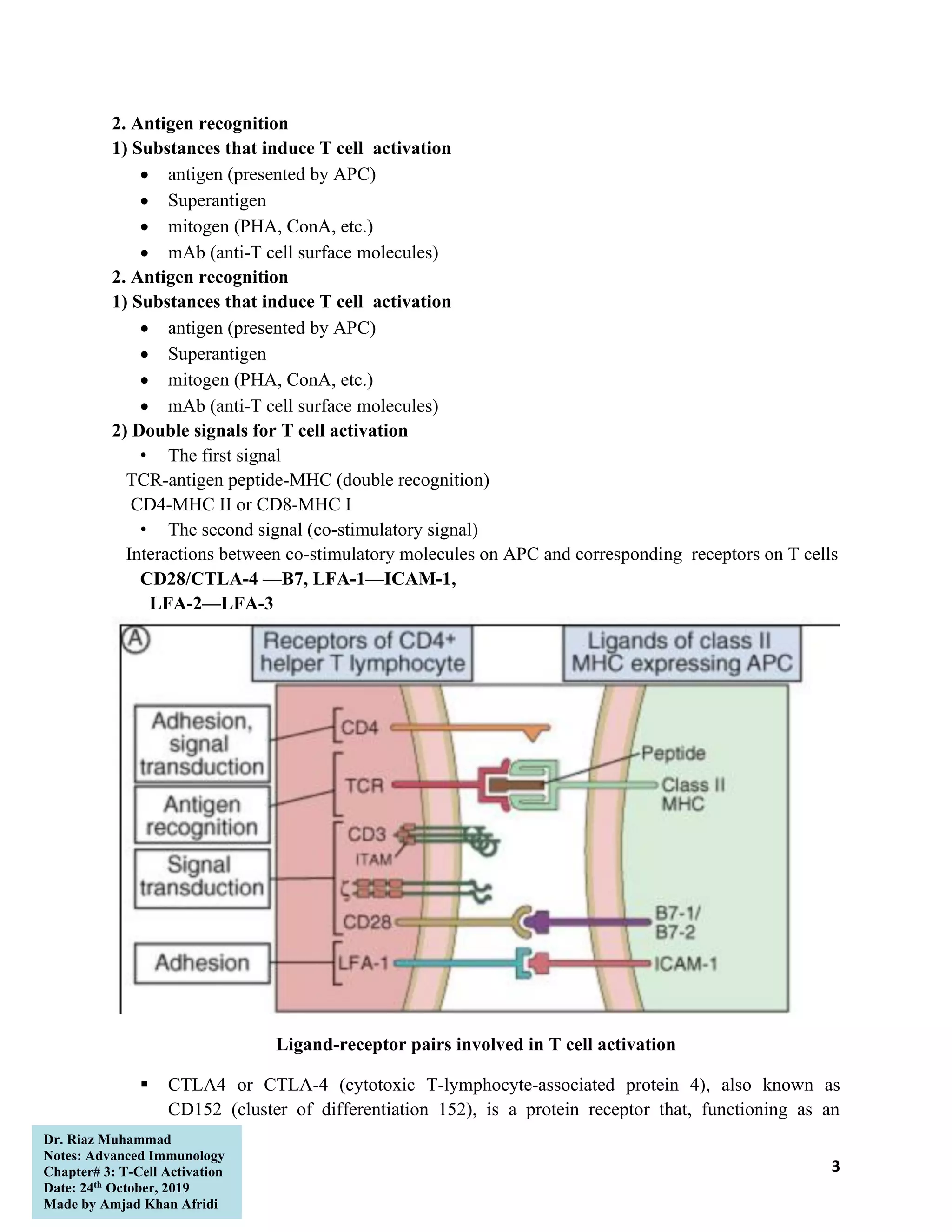 T-cell activation | PDF