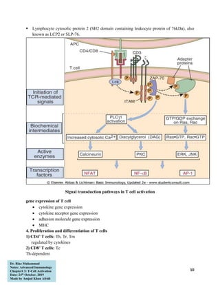 T-cell activation | PDF