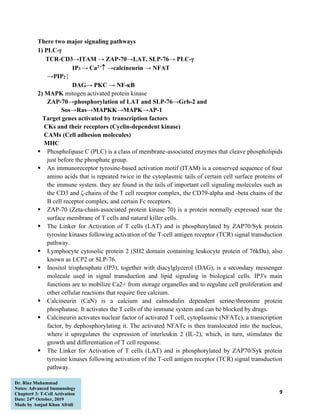 T-cell activation | PDF