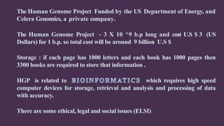 PAPER 3.1 ~ HUMAN GENOME PROJECT | PPTX | Biological Sciences | Science
