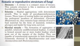 General characters of fungi | PPTX