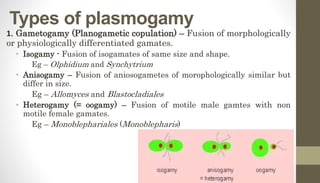 General characters of fungi | PPTX