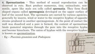 General characters of fungi | PPTX